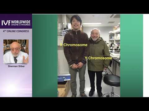 Mini IVF - A Comprehensive Guide to Minimal Stimulation IVF